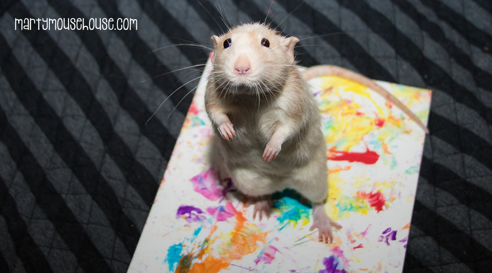 ART AUCTION!! – Marty Mouse House